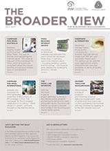 The Broader View (July 2013)