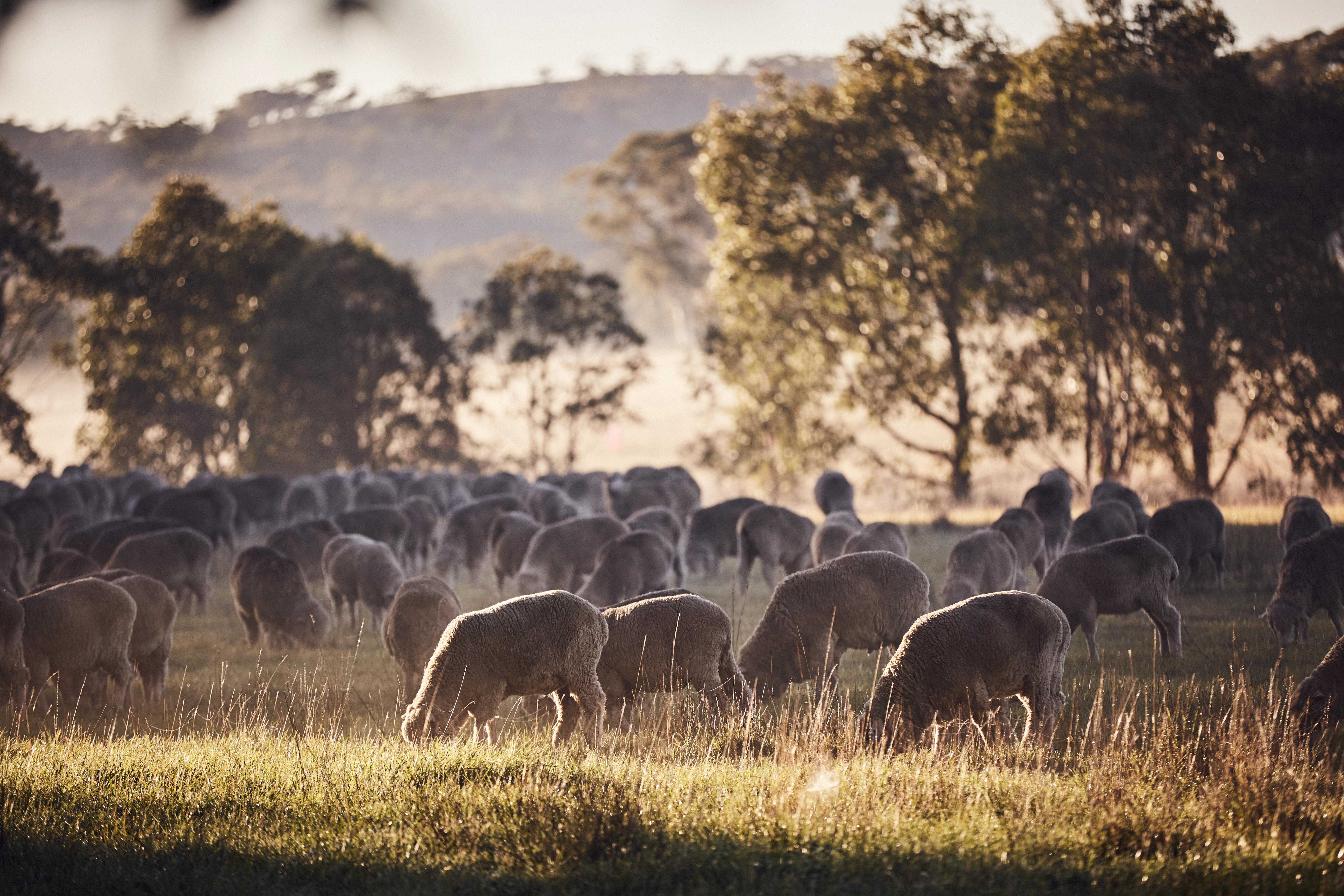 Nature Positive Farming