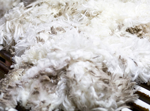 Australian Wool Innovation